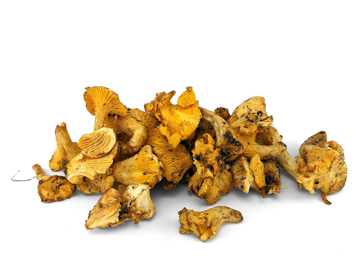 Mushroom Girolle (100g) – thefreshdelivery.co.uk