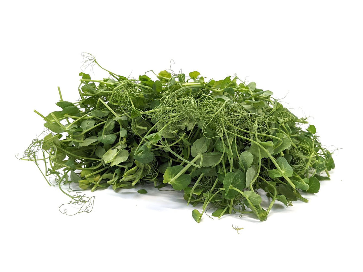 Pea Shoots Tendril (100g) – thefreshdelivery.co.uk